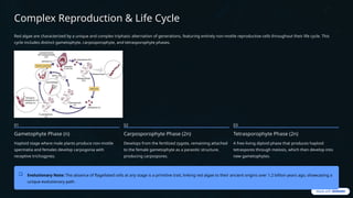 Introduction-to-Red-Algae-Rhodophyta.pptx