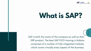 Introduction To SAP FICO | PDF