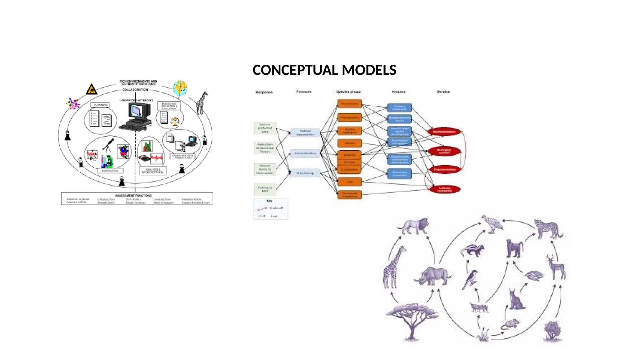 Introduction-to-Scientific-Models.pptx Theresa Polonan | PPTX