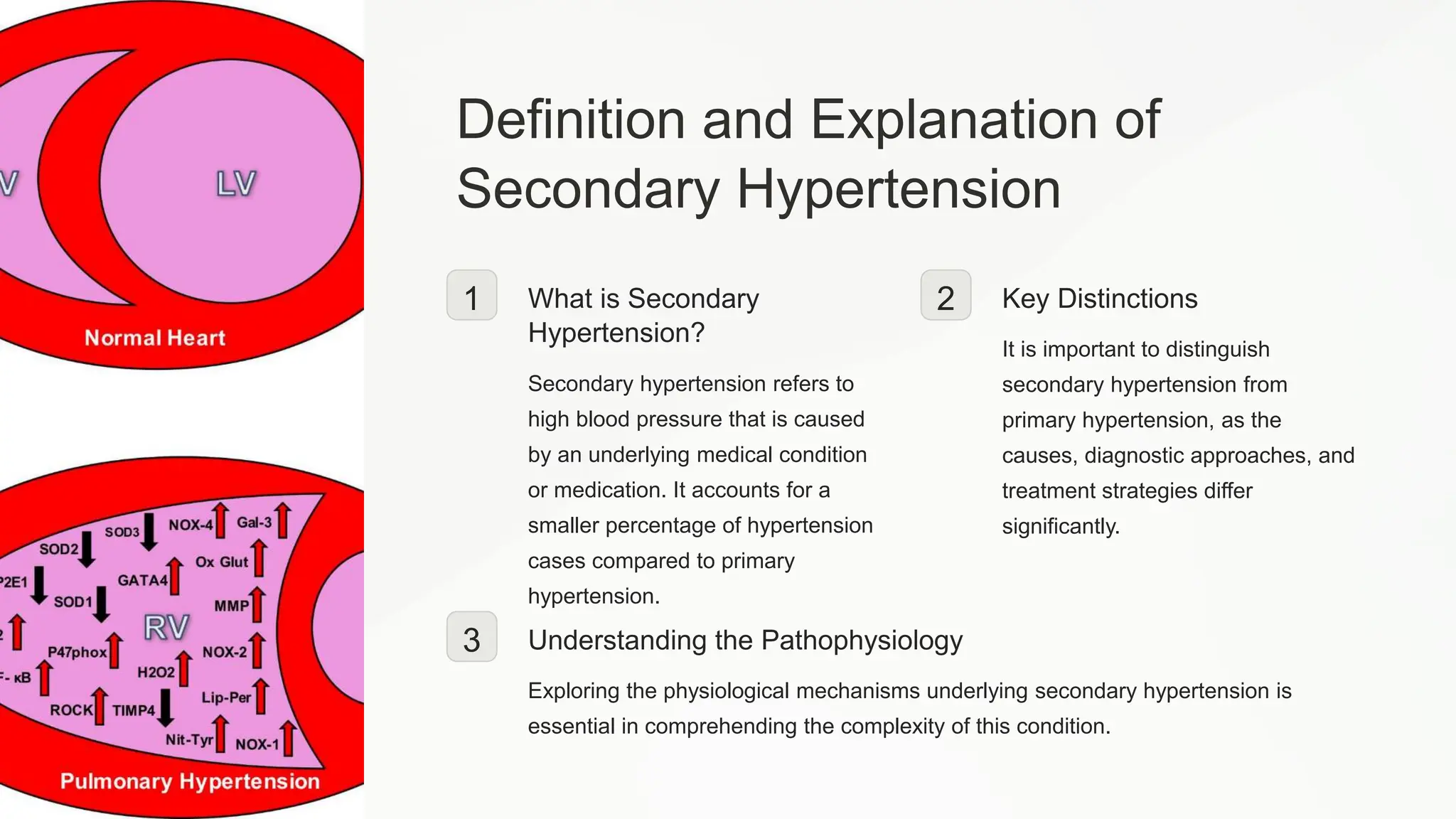 Introduction-to-Secondary-Hypertension-in-Young-Adults.pptx