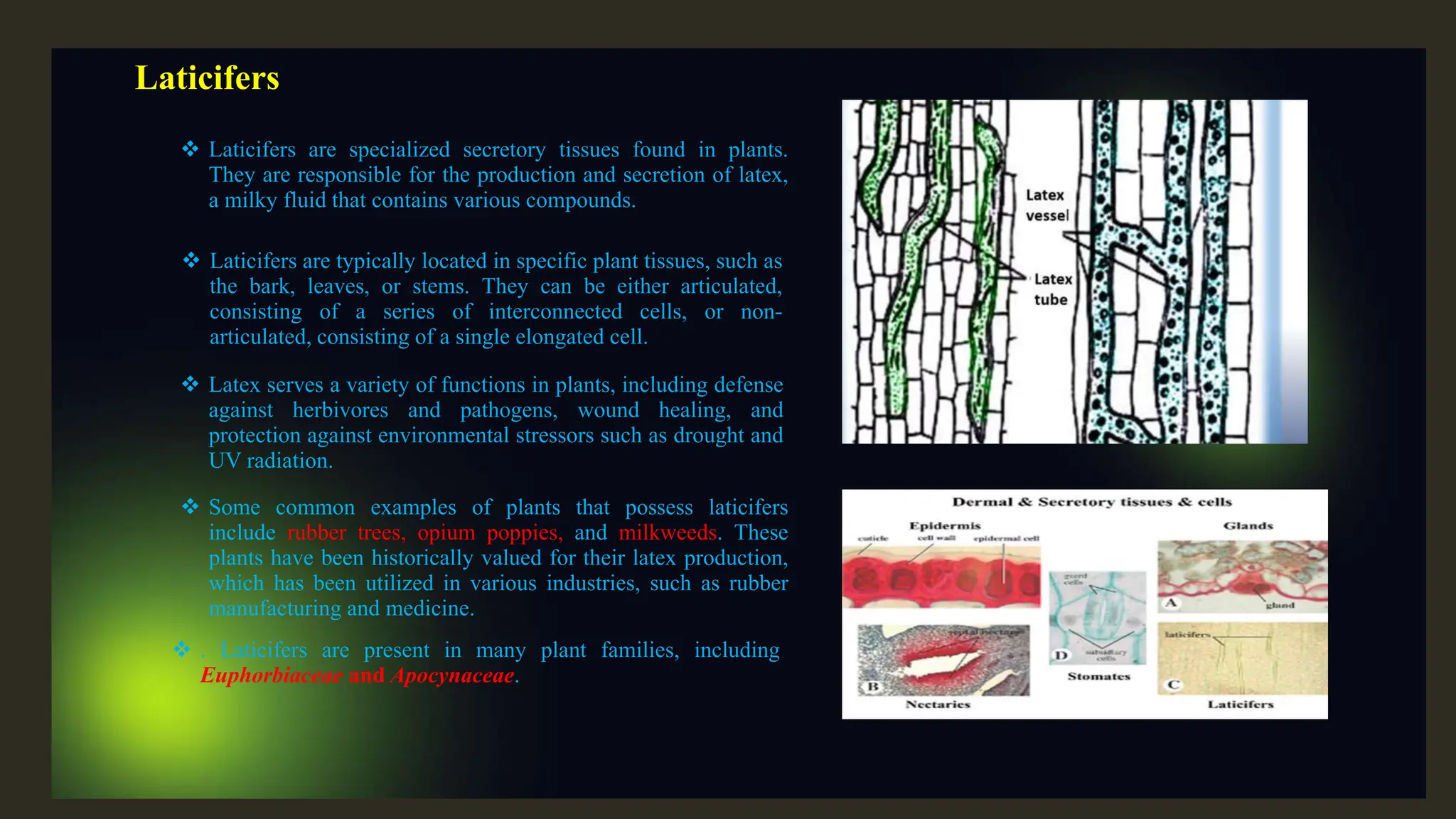 Introduction-to-Secondary-Structures-in-Plants.pptx