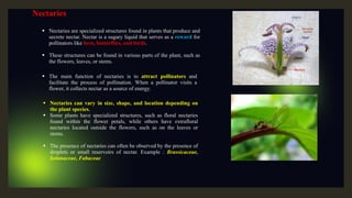 Introduction-to-Secondary-Structures-in-Plants.pptx