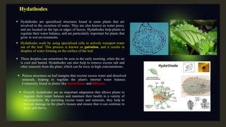 Introduction-to-Secondary-Structures-in-Plants.pptx