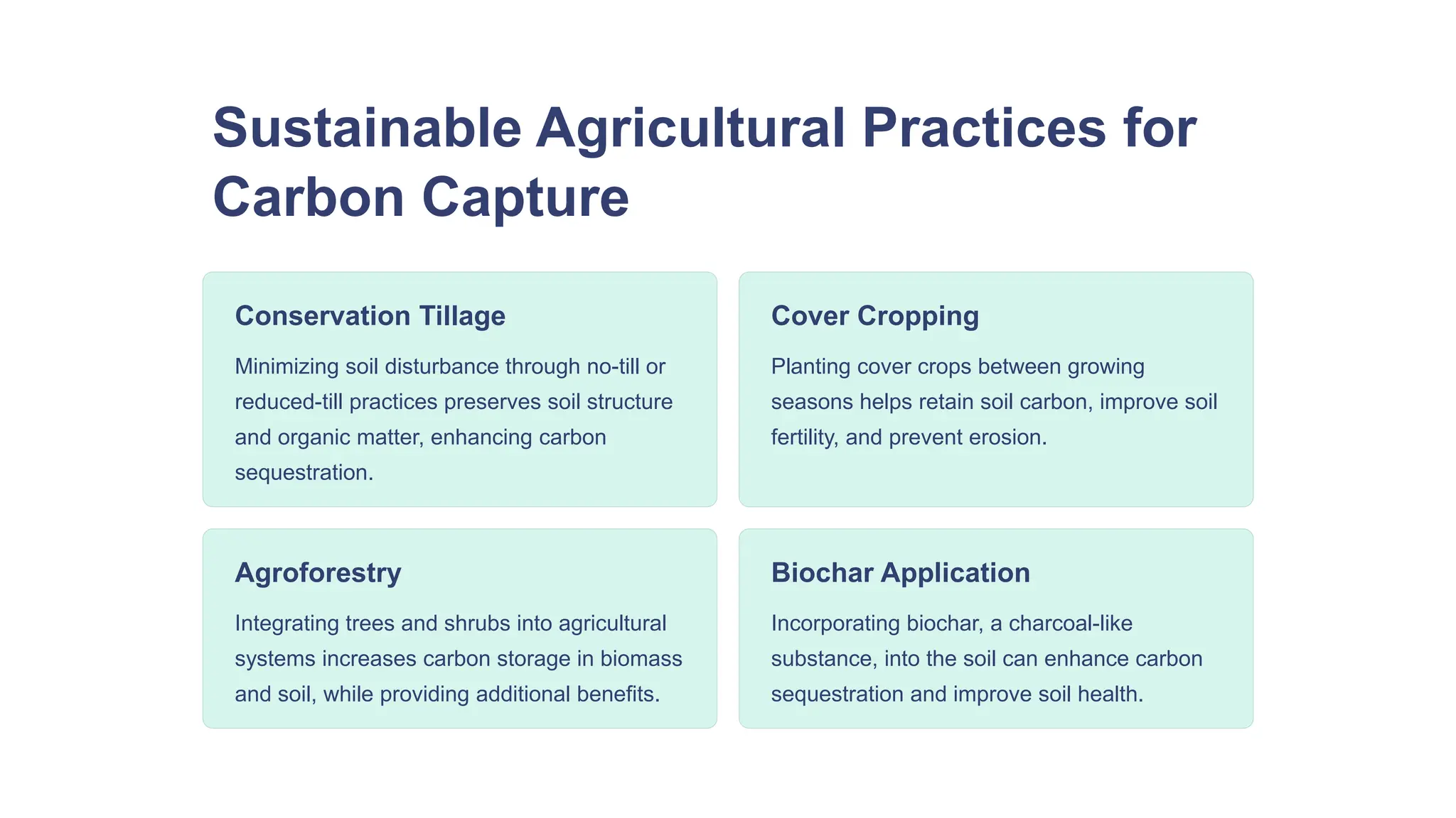 Introduction-to-Soil-Management-and-Carbon-Assimilation.pptx