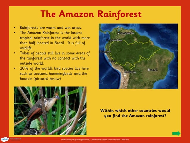 Introduction-to-South-America-Powerpoint.pdf