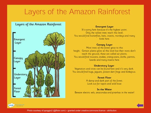 Introduction-to-South-America-Powerpoint.pdf