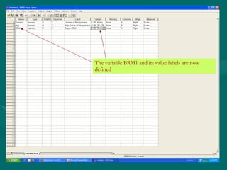 Introduction To Spss Defining Variables And Data Entry | PPT
