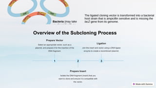 Challenges and Opportunities: Navigating the Complexity of Genes | PPT