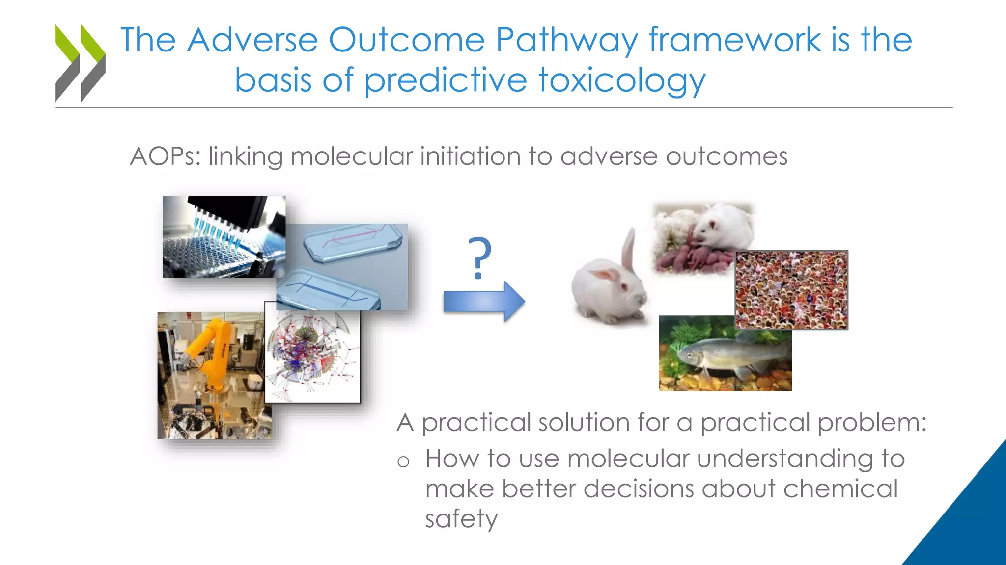 Introduction To The Adverse Outcome Pathways Concept And Framework Catherine Willett From