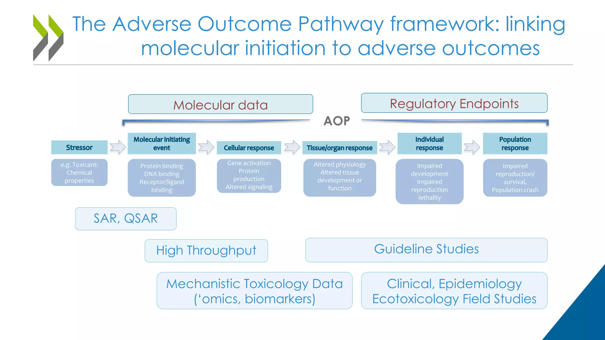 Introduction To The Adverse Outcome Pathways Concept And Framework Catherine Willett From