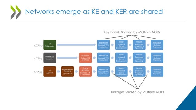 Introduction To The Adverse Outcome Pathways Concept And Framework Catherine Willett From