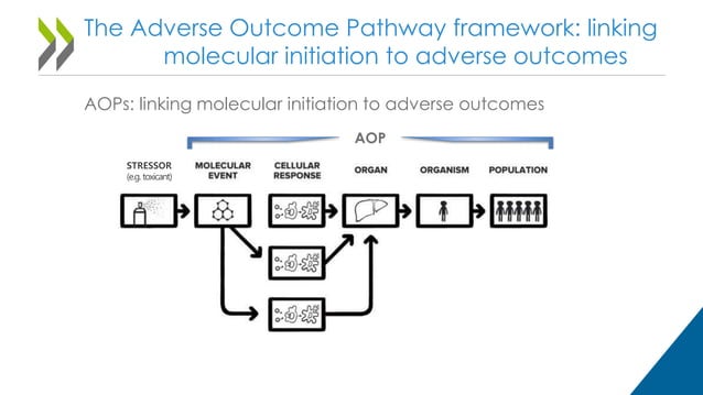 Introduction To The Adverse Outcome Pathways Concept And Framework Catherine Willett From