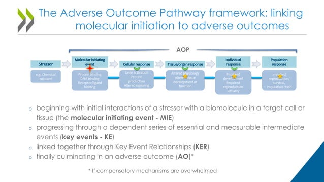 Introduction to the adverse outcome pathways concept and framework ...