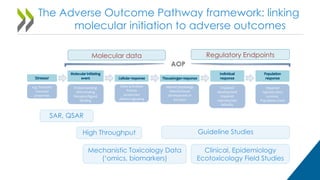 Introduction to the adverse outcome pathways concept and framework, Catherine Willett from ...