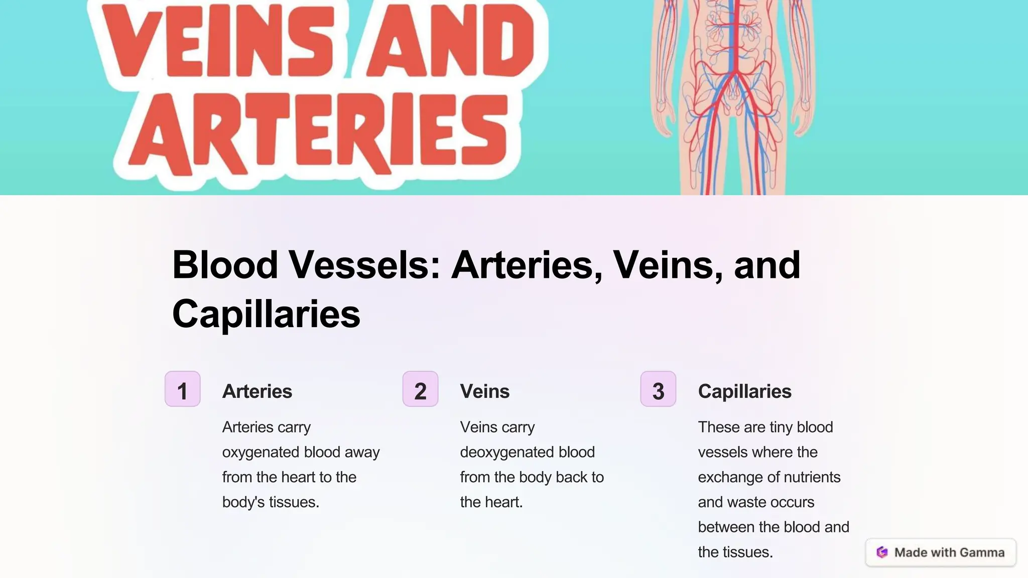 Introduction-to-the-Cardiovascular-System.pptx
