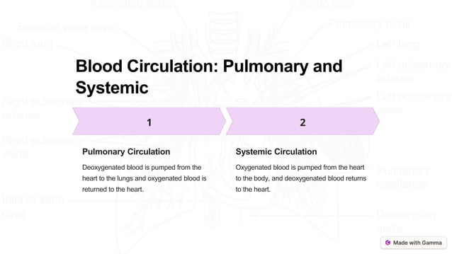 Introduction-to-the-Cardiovascular-System.pptx