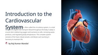 Introduction-to-the-Cardiovascular-System | PPT