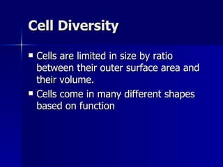 Introduction To The Cell | PPT