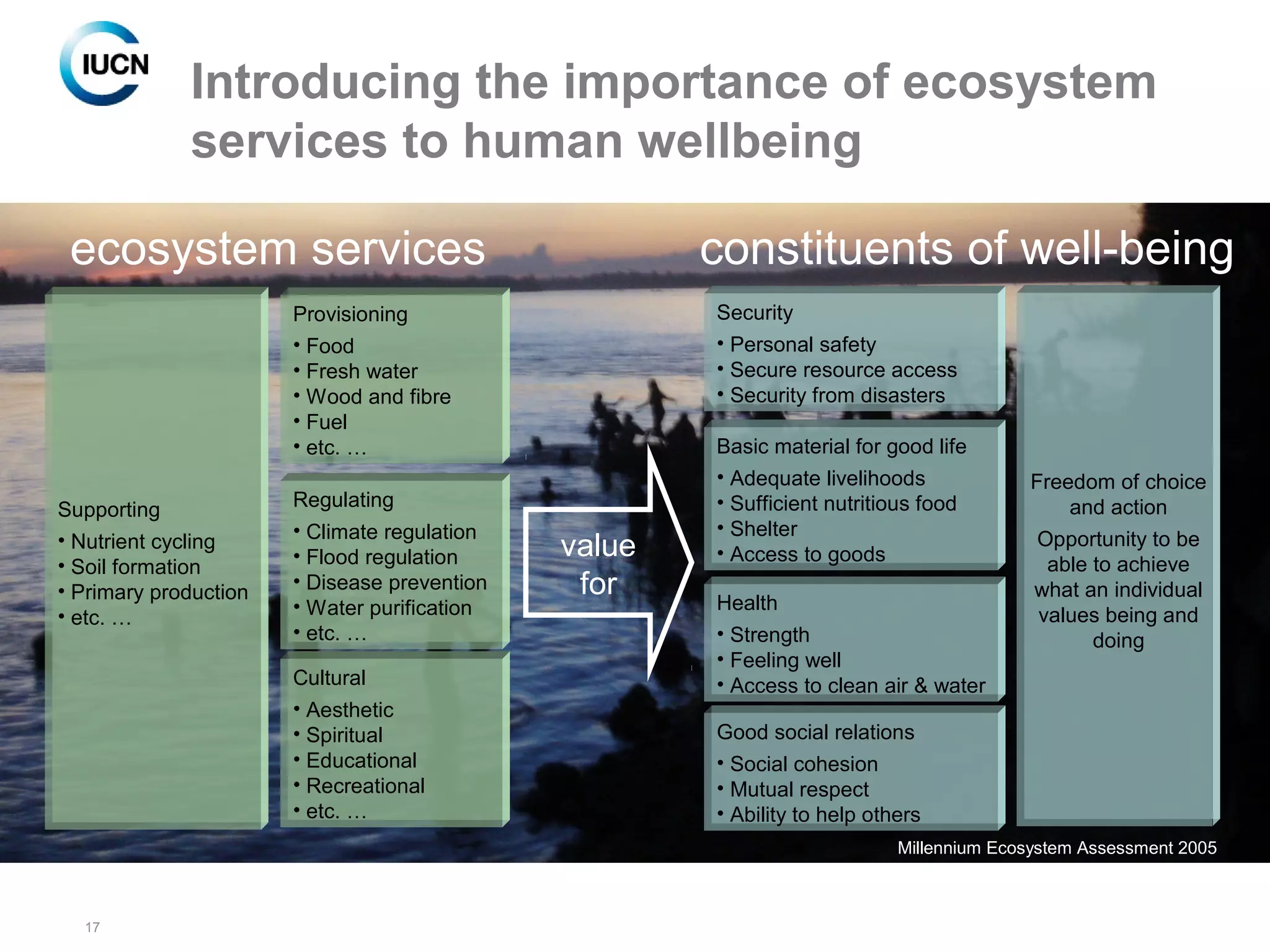Introduction to the ecosystem approach as a framework for management of ...