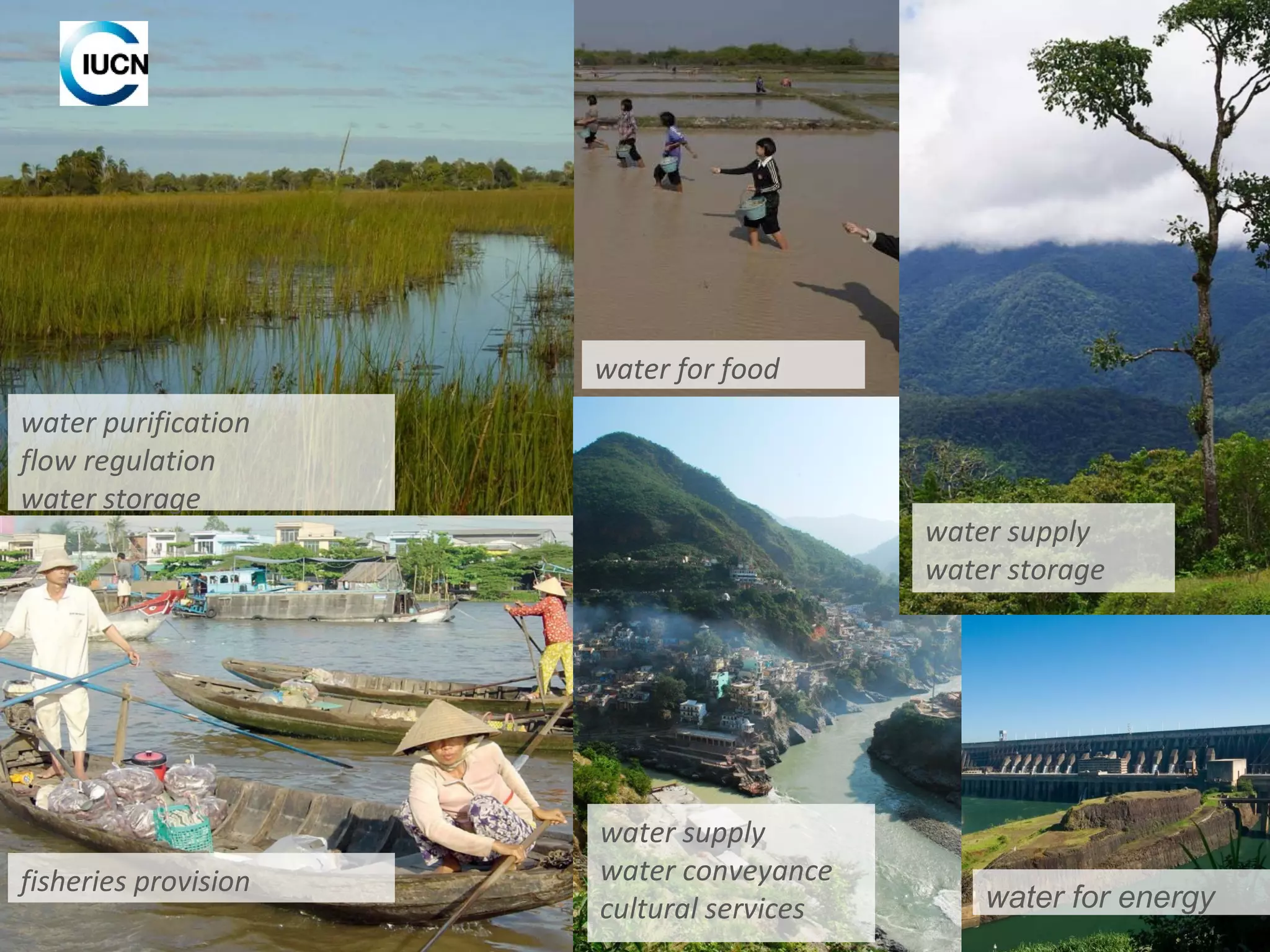 Introduction to the ecosystem approach as a framework for management of ...