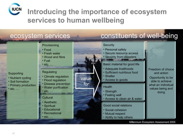 Introduction to the ecosystem approach as a framework for management of ...