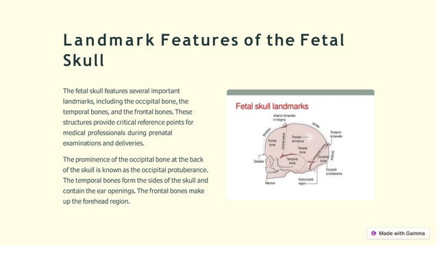 Introduction-to-the-Fetal-Skull.pptx obstetrics and gy | PPTX