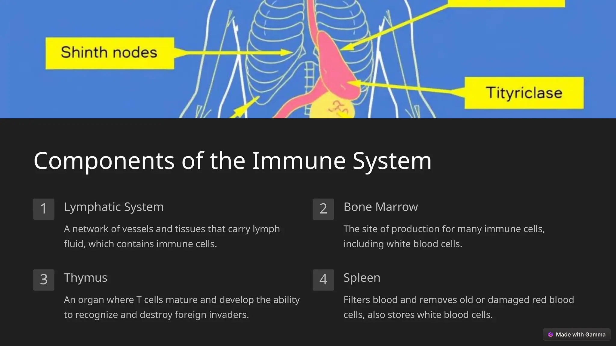 Introduction-to-the-Immune-System.pptx grade 9-10 | PPTX