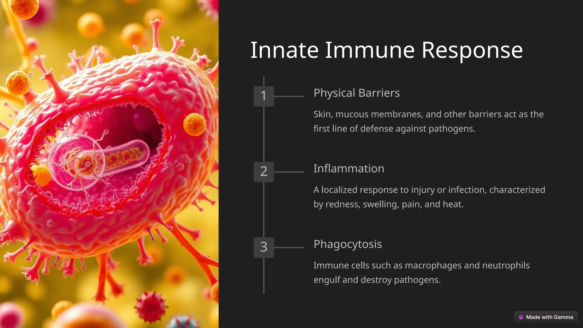 Introduction-to-the-Immune-System.pptx grade 9-10 | PPTX | Infectious ...