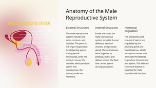 Introduction-to-the-Reproductive-System and it's details. | PPT | Free ...