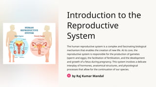 Introduction to the Reproductive System on Slideshare by Raj Kumar ...