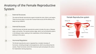 Introduction to the Reproductive System on Slideshare by Raj Kumar ...