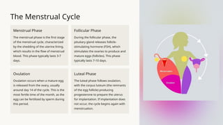 Introduction to the Reproductive System on Slideshare by Raj Kumar ...