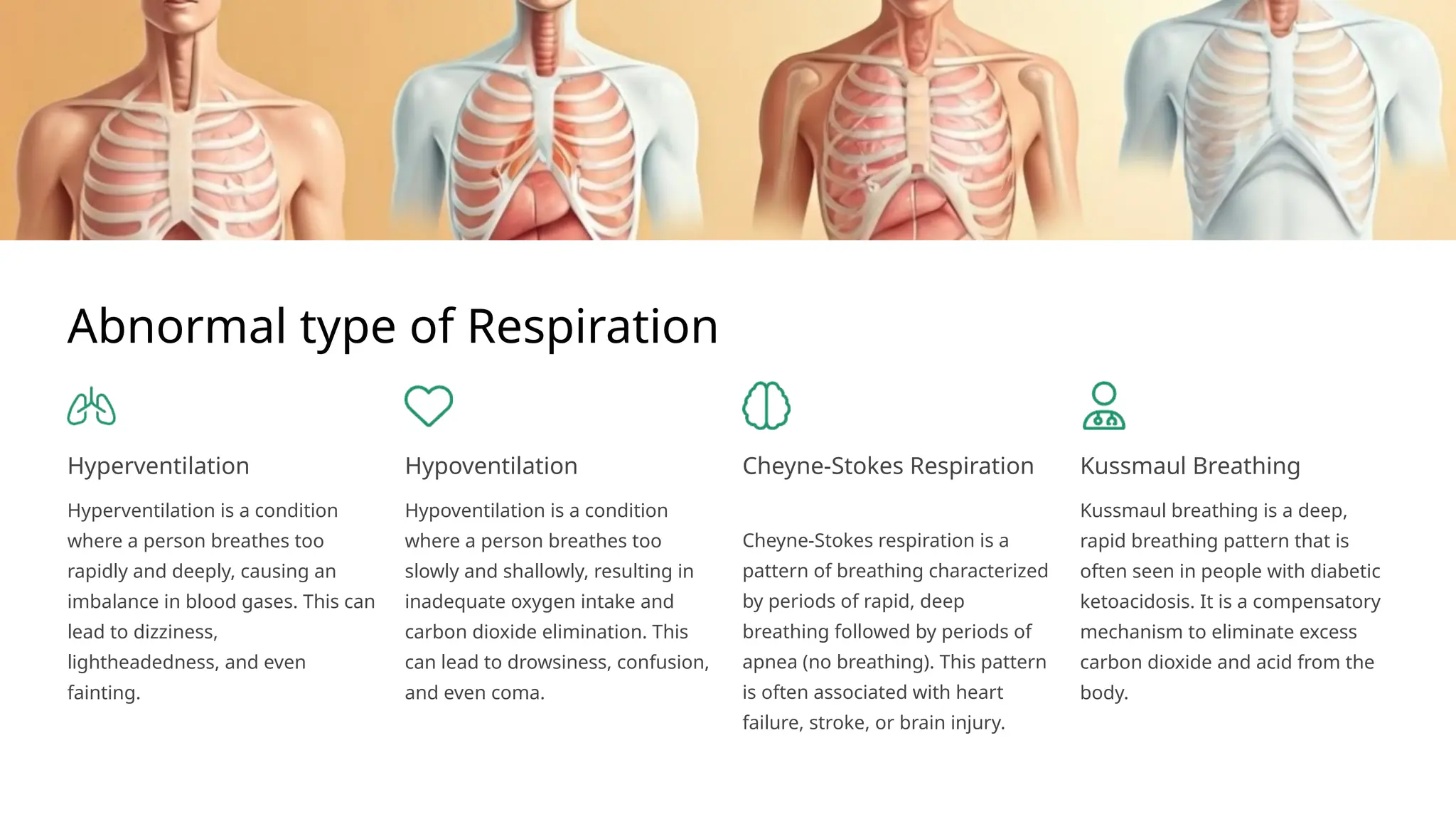 Introduction to the Respiratory System on Slideshare by Raj Kumar ...