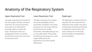Introduction-to-the-Respiratory-System and it's details | PPT