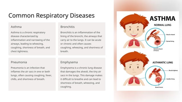 Introduction to the Respiratory System on Slideshare by Raj Kumar ...