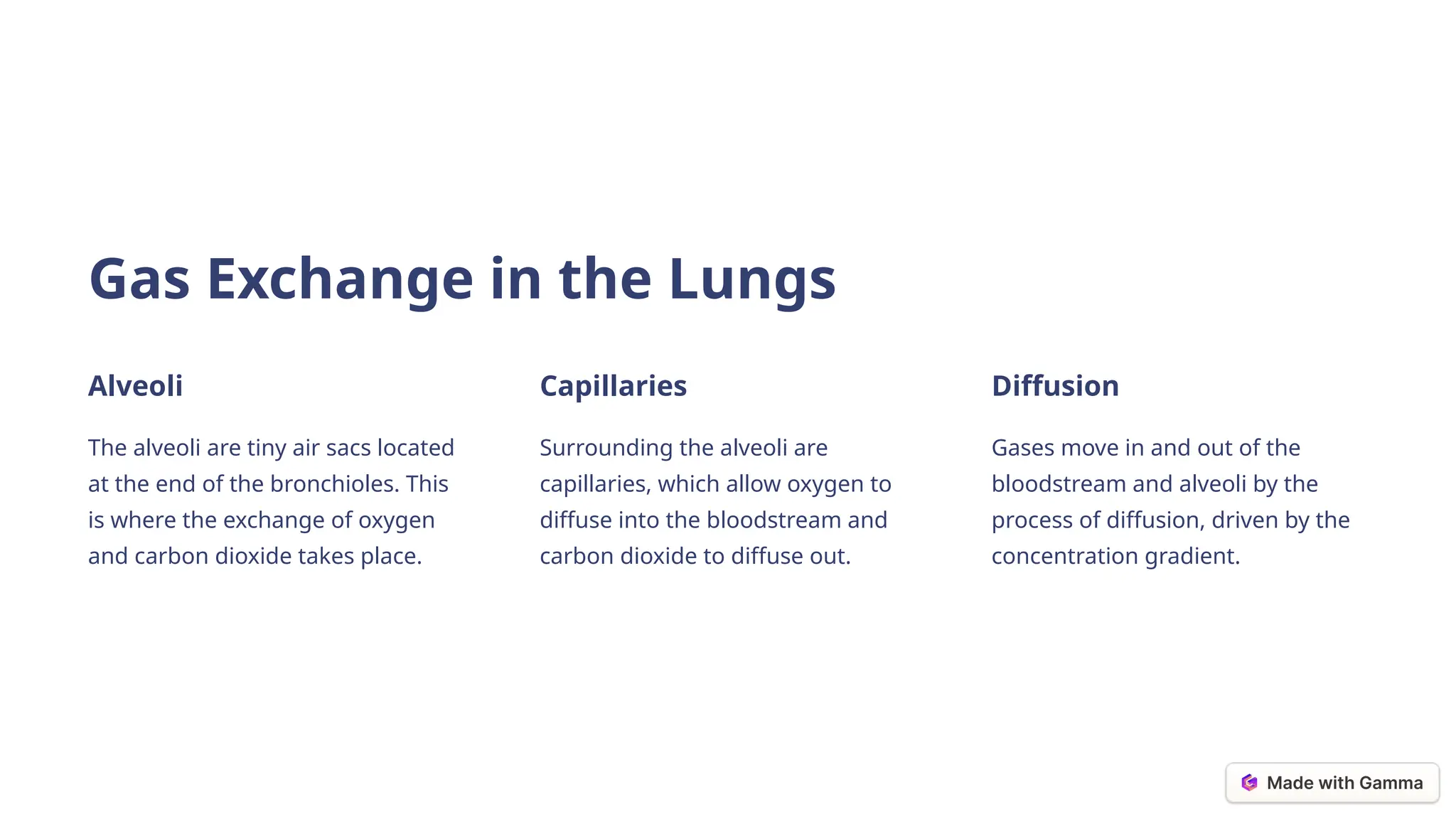 Introduction-to-the-Respiratory-System.pptx
