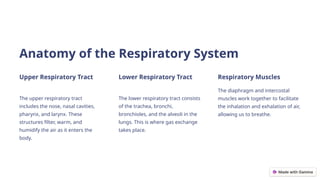 Introduction-to-the-Respiratory-System.pptx