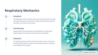 Introduction-to-the-Respiratory-System.pptx