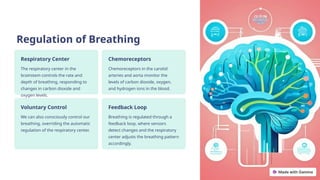 Introduction-to-the-Respiratory-System.pptx