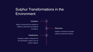 Introduction-to-the-Sulphur-Cycle-1.pptx