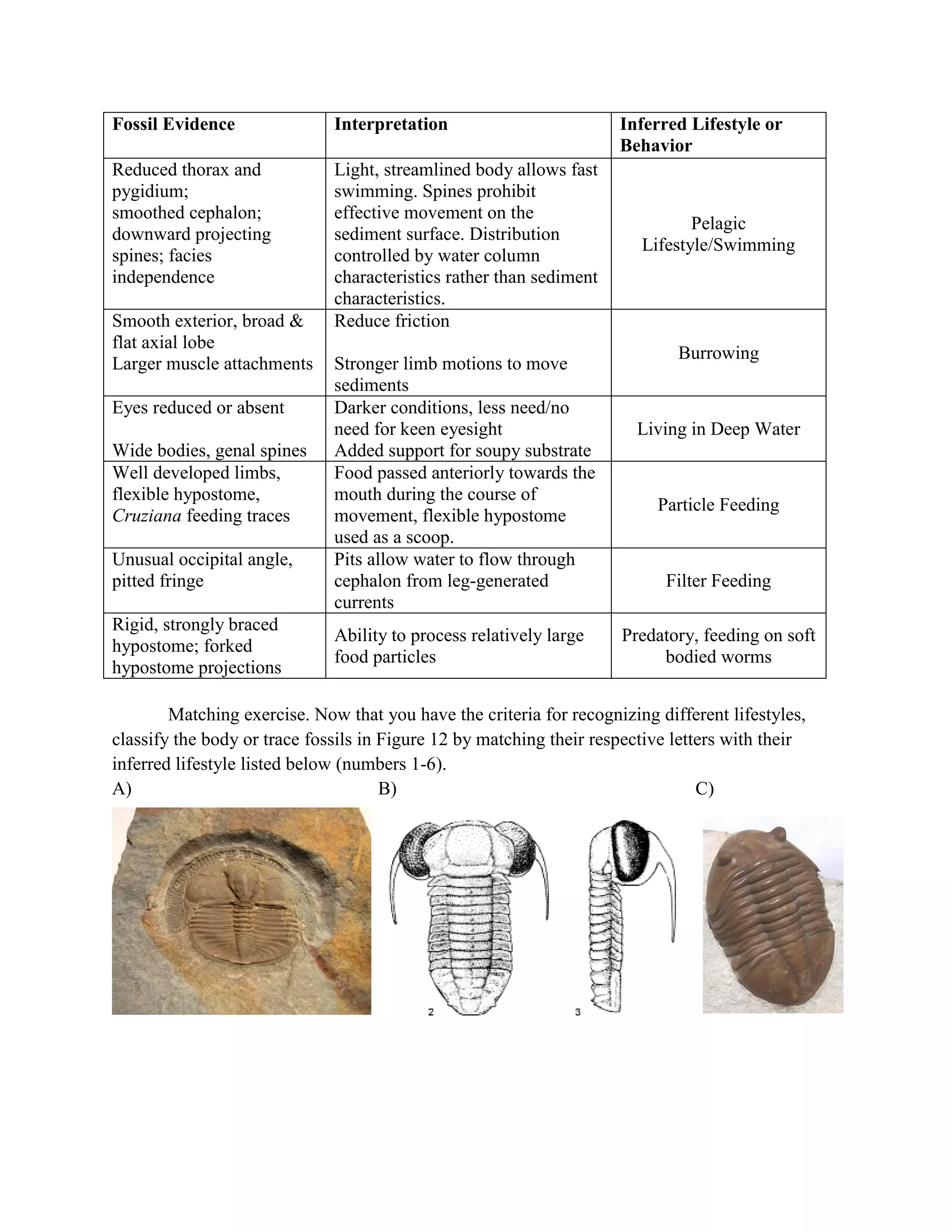 Introduction to-the-trilobites | PDF