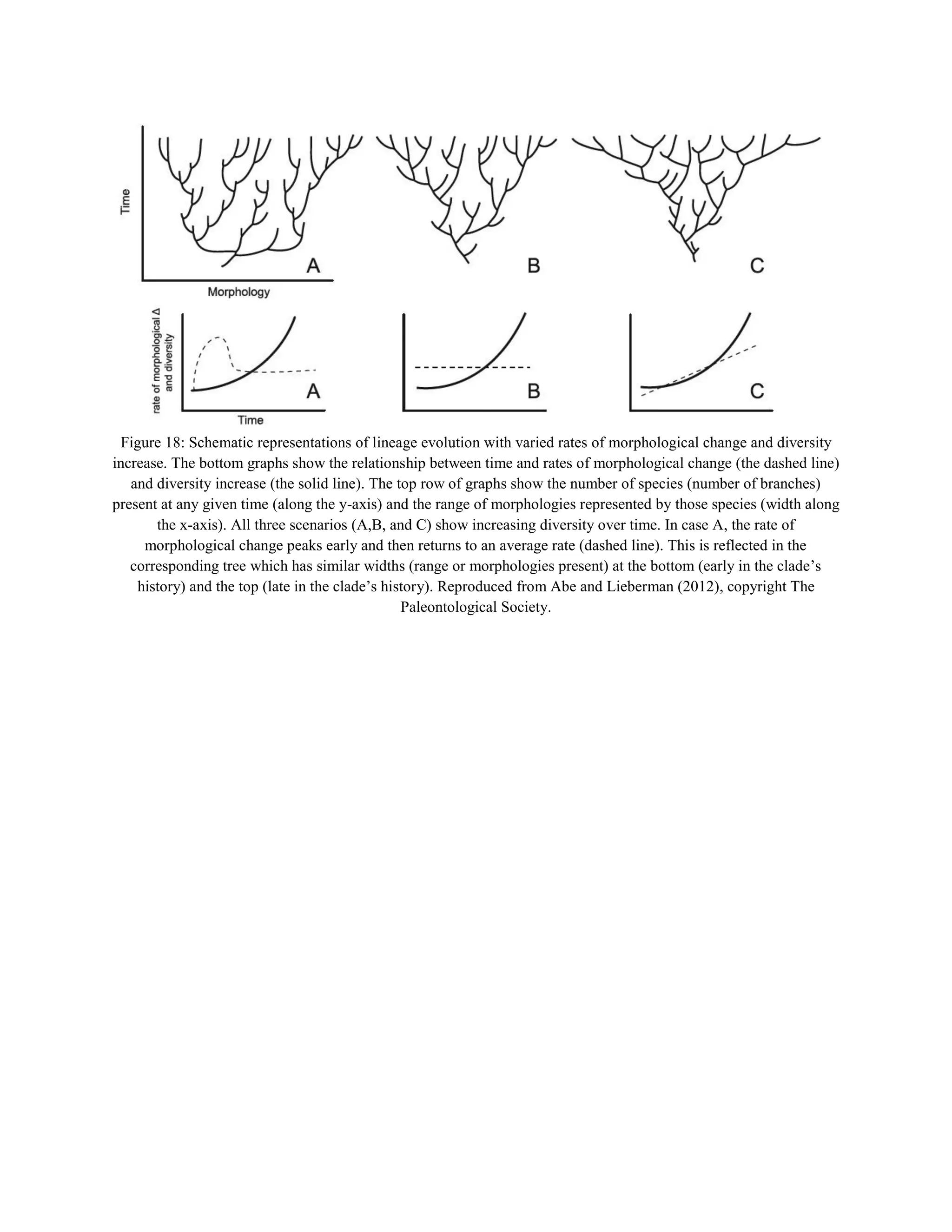 Introduction to-the-trilobites | PDF