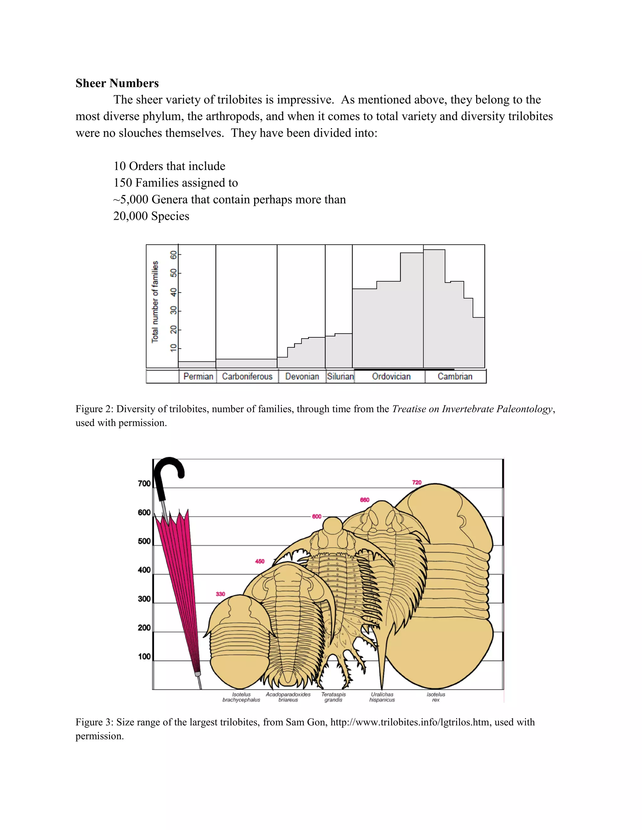 Introduction to-the-trilobites | PDF