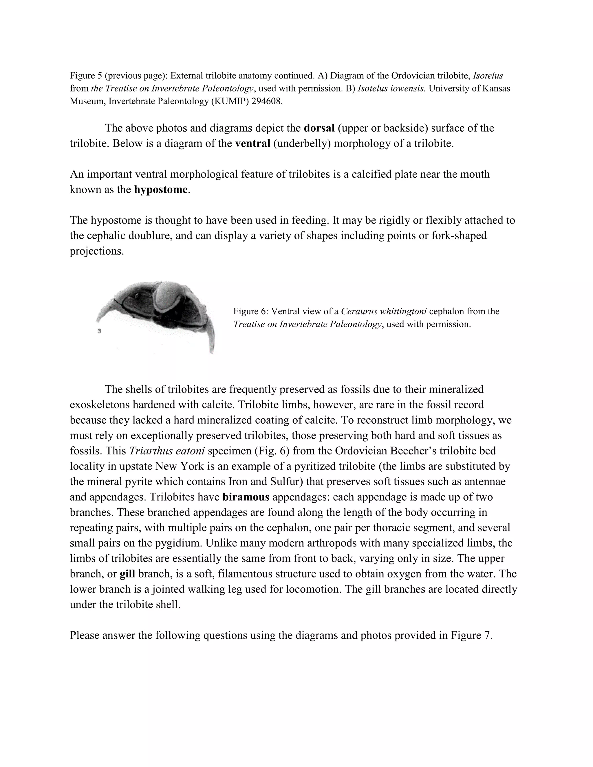 Introduction to-the-trilobites | PDF