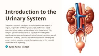 Introduction to the Urinary System on Slideshare by Raj Kumar Mandal | PPT