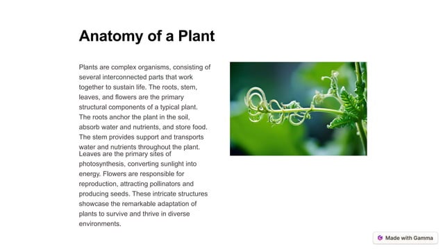 Introduction-to-the-World-of-Plants.pptx | Infertility | Reproductive ...