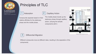 Thin-Layer-Chromatography-TLC---pptx...... | PPTX