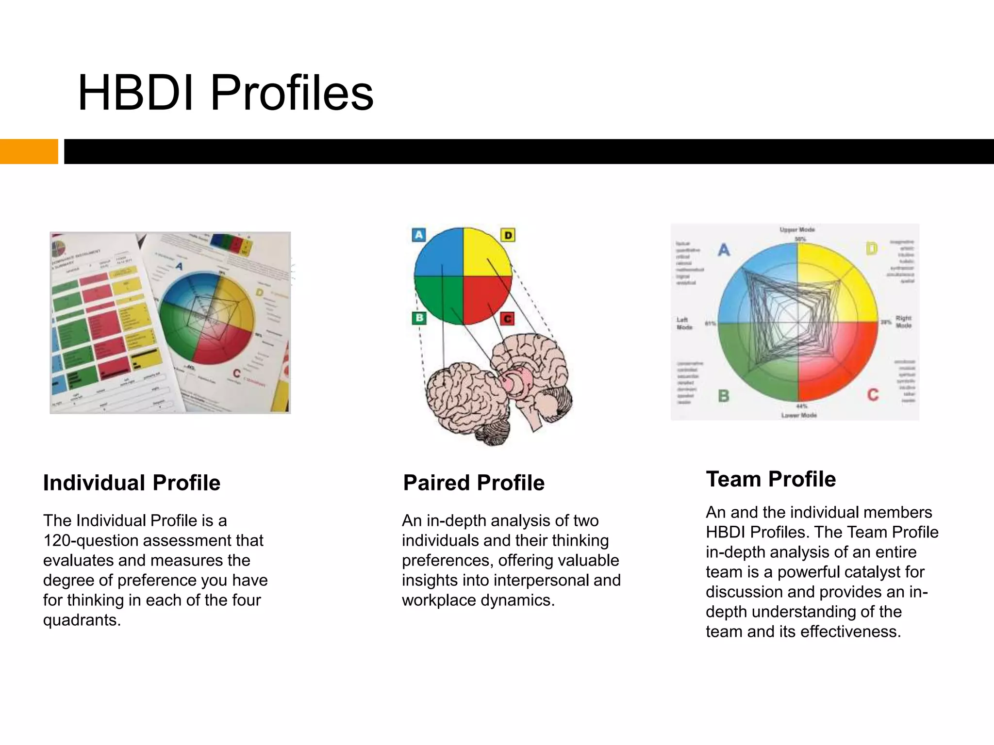 Introduction to Thinking Style Preferences | PPTX