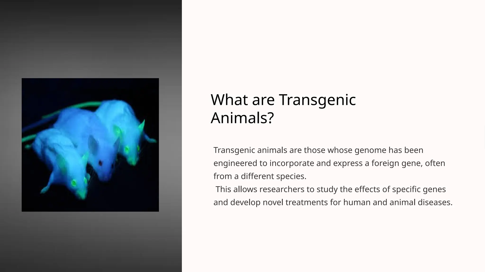 Introduction-to-Transgenic-and-Genome-Edited-Animals (1).pptx