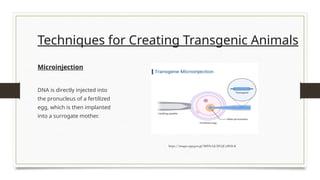 Introduction-to-Transgenic-and-Genome-Edited-Animals (1).pptx